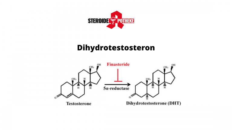 Dihydrotestosteron - Was Für Ein Testosteron Ist Das? - SteroideApotheke